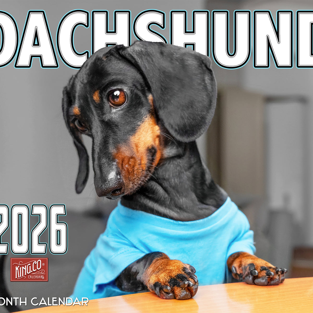 2026 Dachshunds Wall Calendar – Adorable Wiener Dog Photos – The King Company