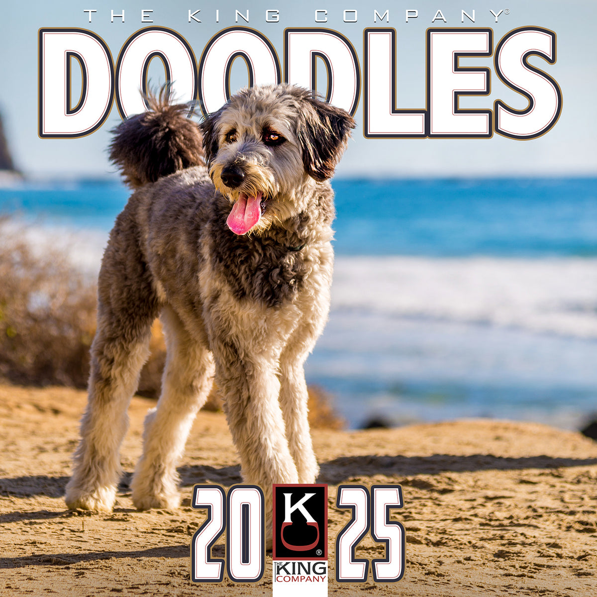 2025 Doodles Wall Calendar 16-Month X-Large Size 14x22, Best ...