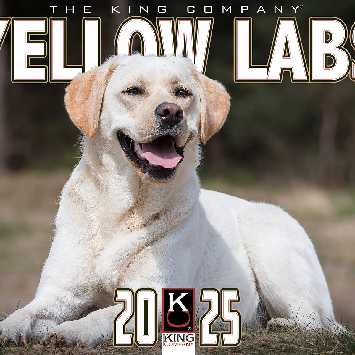 2025 Yellow Labrador Dog Wall Calendar 16-Month X-Large Size 14x22 ...