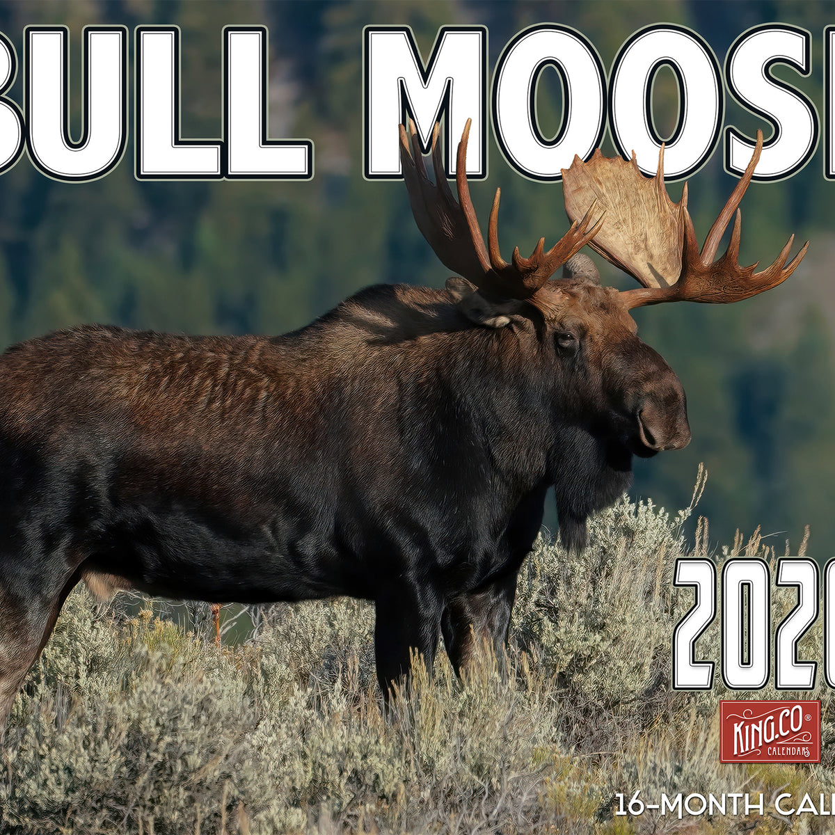 2026 Bull Moose Wall Calendar – Majestic Northwoods Wildlife – The King ...