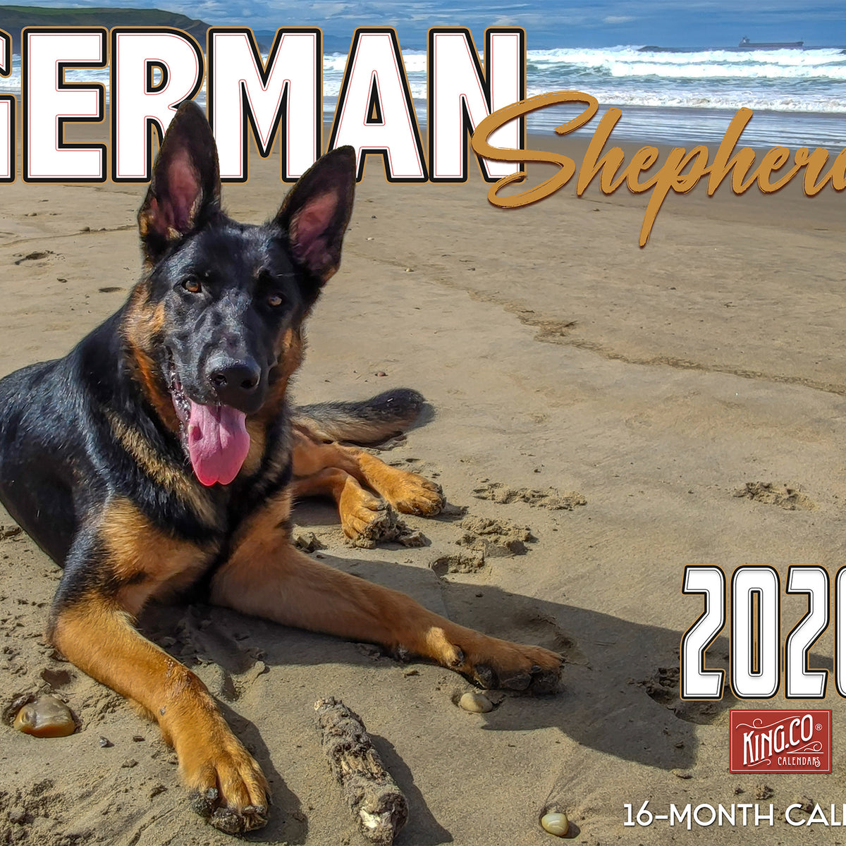 2026 German Shepherds Wall Calendar – Loyal & Noble Companions – The ...