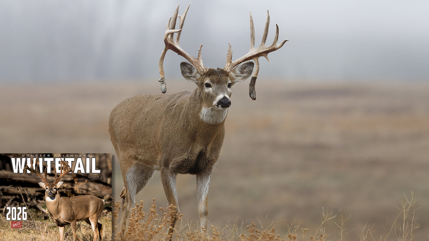 2026 Whitetail Deer Signature Series Wall Calendar – Trophy Bucks – The ...